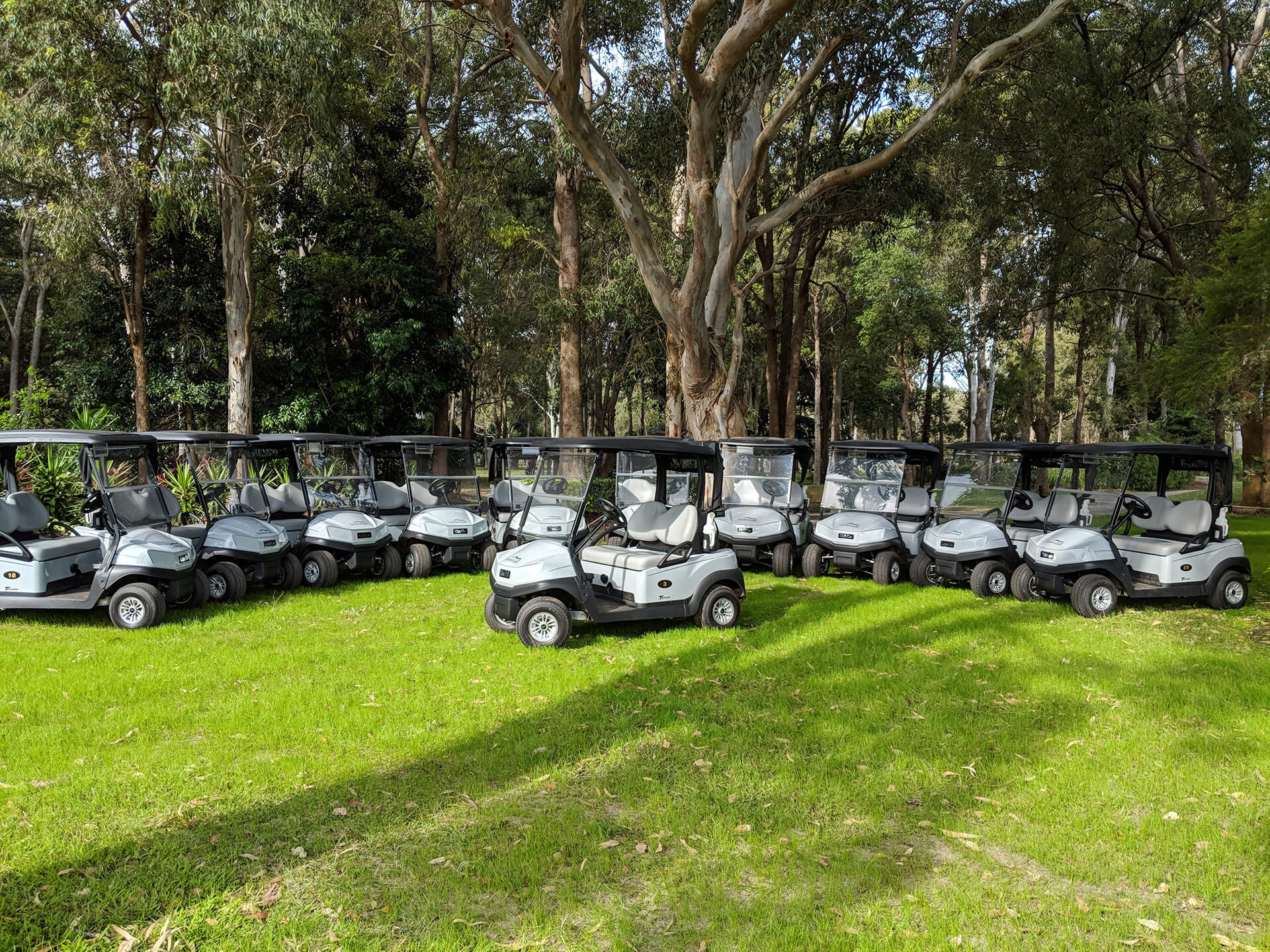 Pro Coaching - Chinderah Golf Club